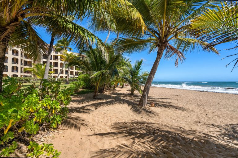 10 Things To Do With Kids In Palmas Del Mar - Palmas Dream Homes